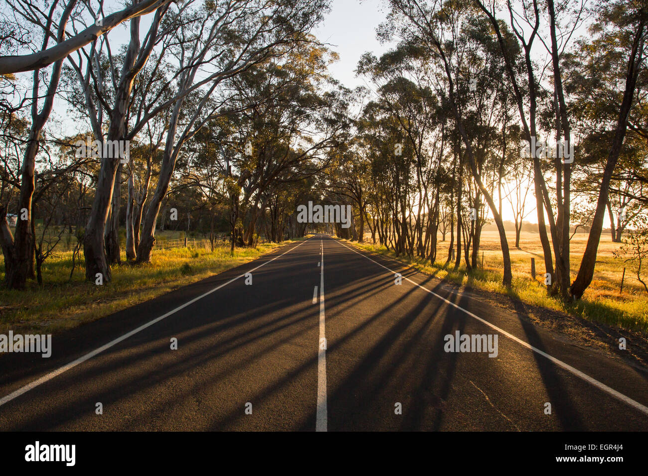 Australian country road hi-res stock photography and images - Alamy