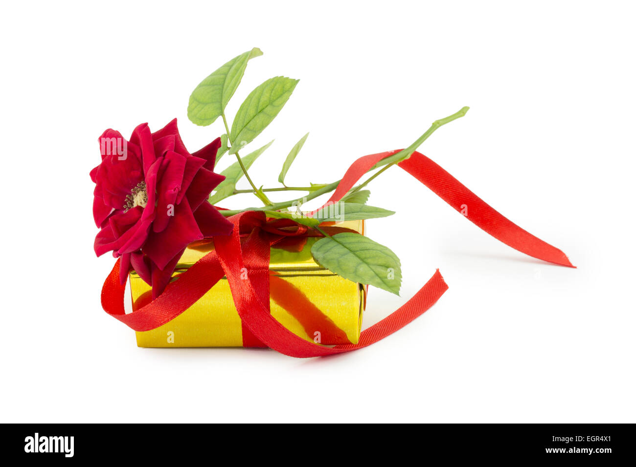 red rose bud, branch Stock Photo - Alamy
