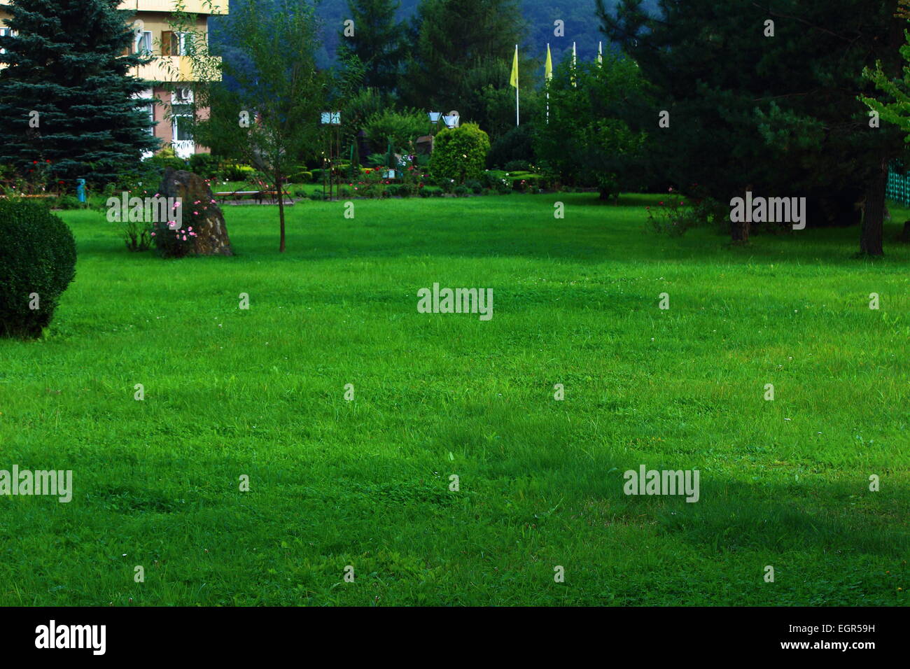 beautiful view of the grass in the park Stock Photo - Alamy