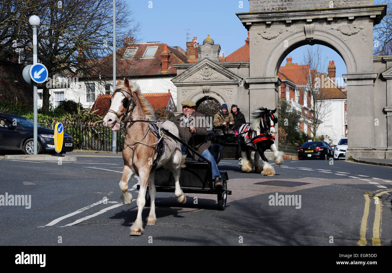 Horse horses pony ponies and trap traps hi-res stock photography and ...