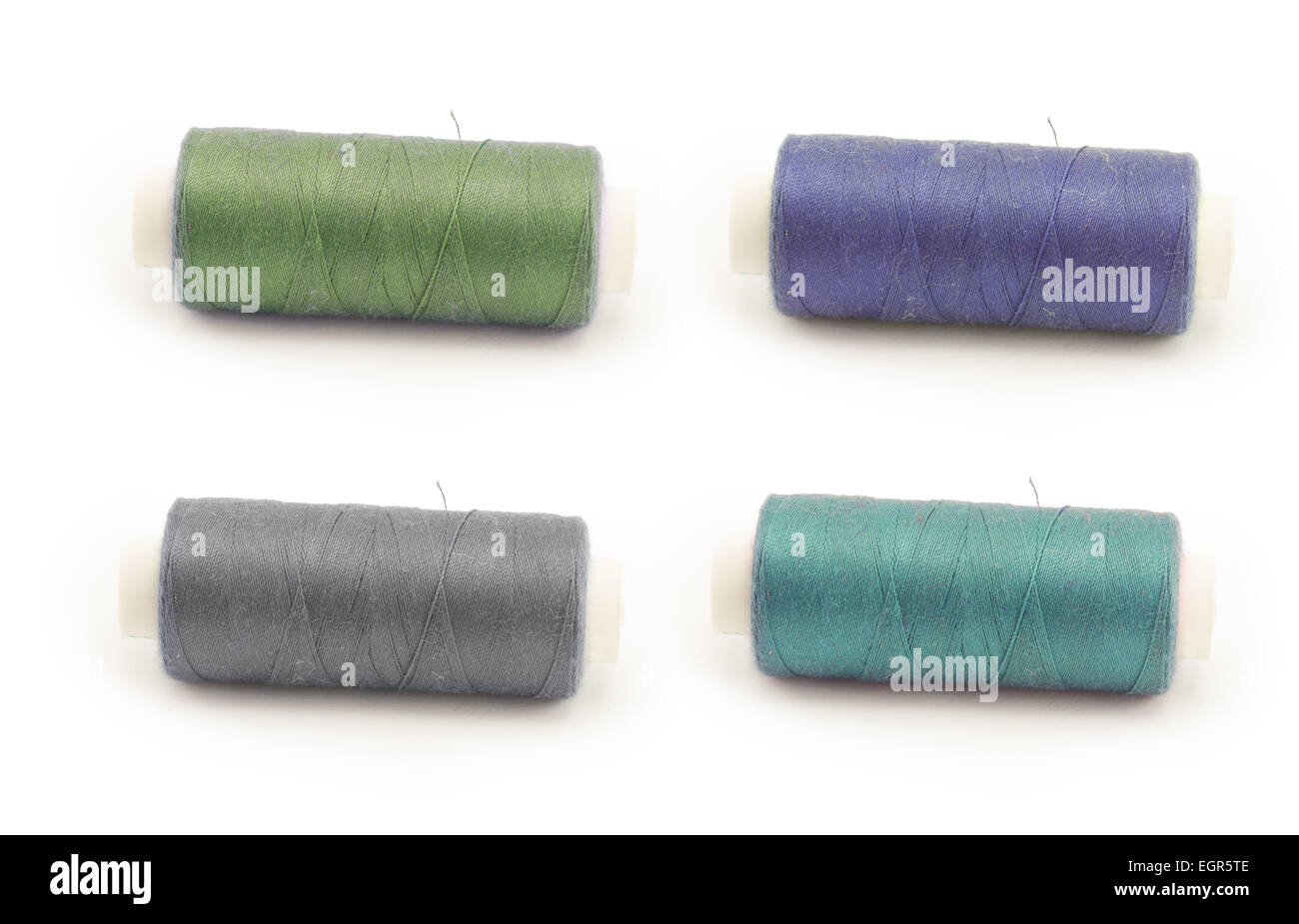 Vibrant green needles Cut Out Stock Images & Pictures - Alamy