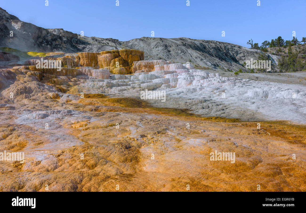 Crystallized calcium carbonate hi-res stock photography and images - Alamy