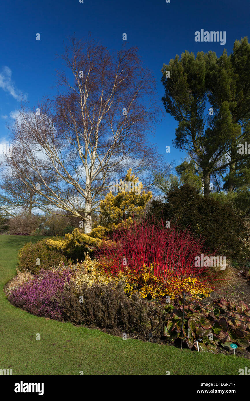 Bright Spring Day at RHS Hyde Hall Stock Photo - Alamy