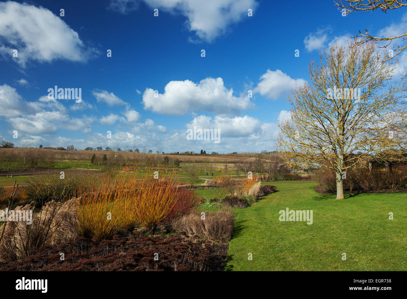 Bright Spring Day at RHS Hyde Hall Stock Photo - Alamy