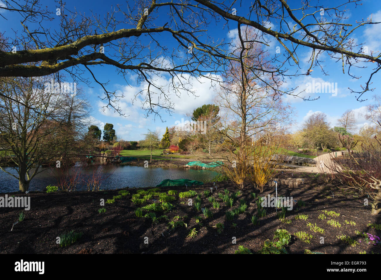 Spring-like Weather at RHS Hyde Hall Stock Photo - Alamy