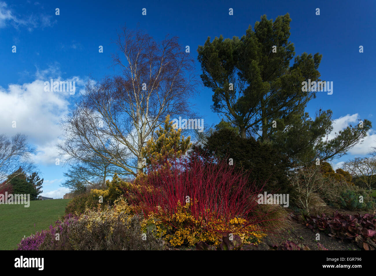 Spring-like Weather at RHS Hyde Hall Stock Photo - Alamy