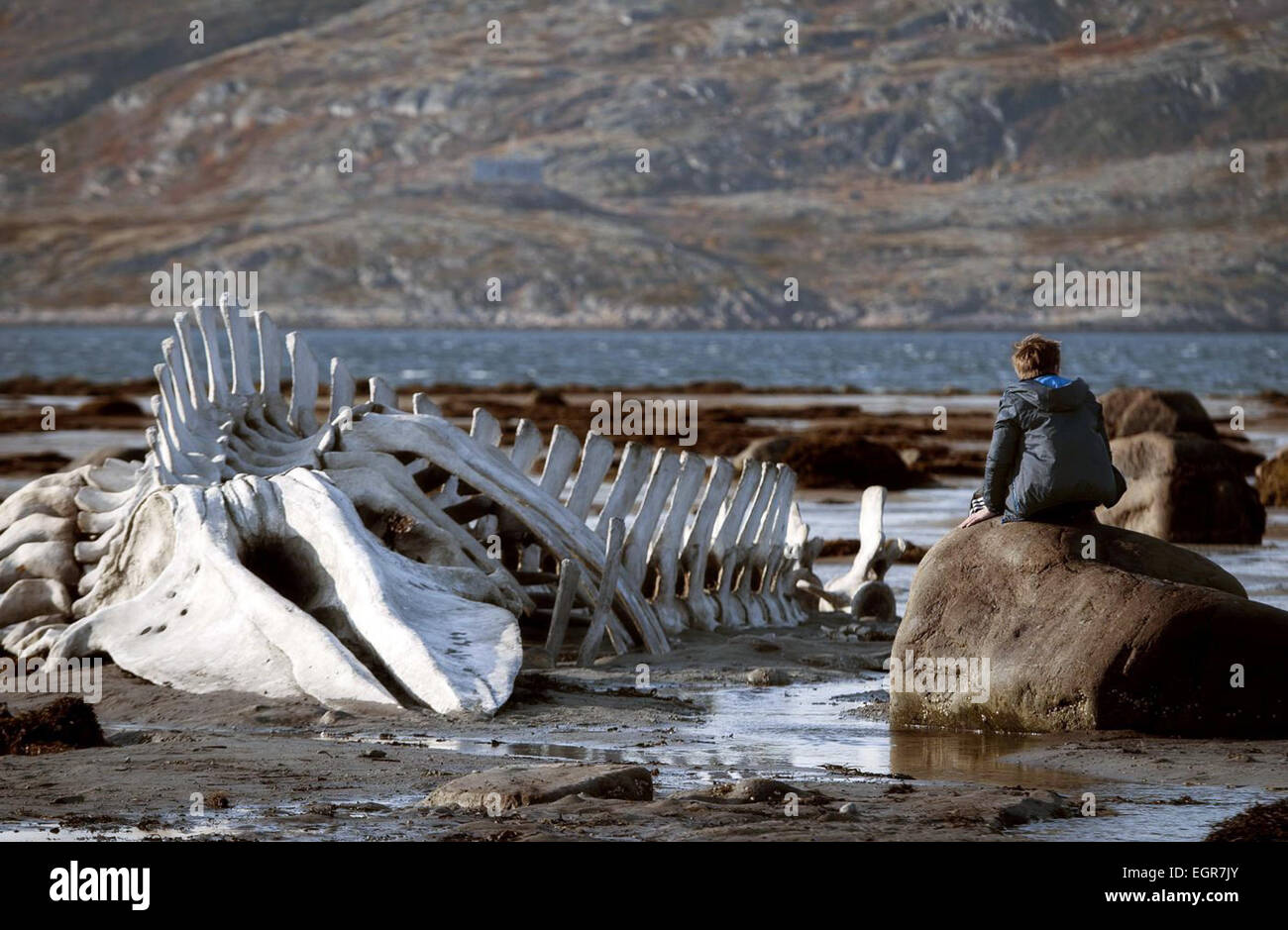 Leviathan is a 2014 Russian drama film directed by Andrey Zvyagintsev ...