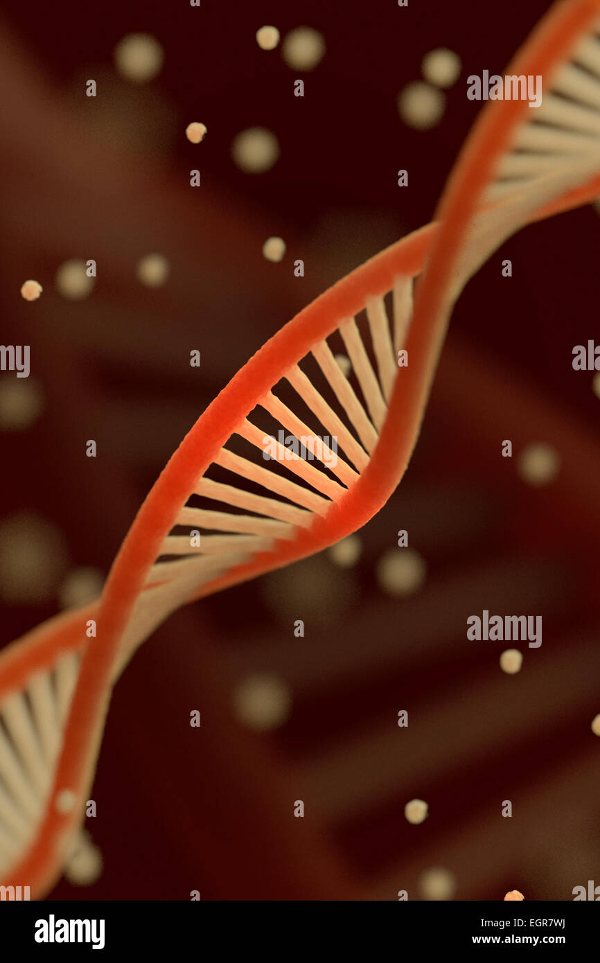 DNA chain macroshot Stock Photo - Alamy