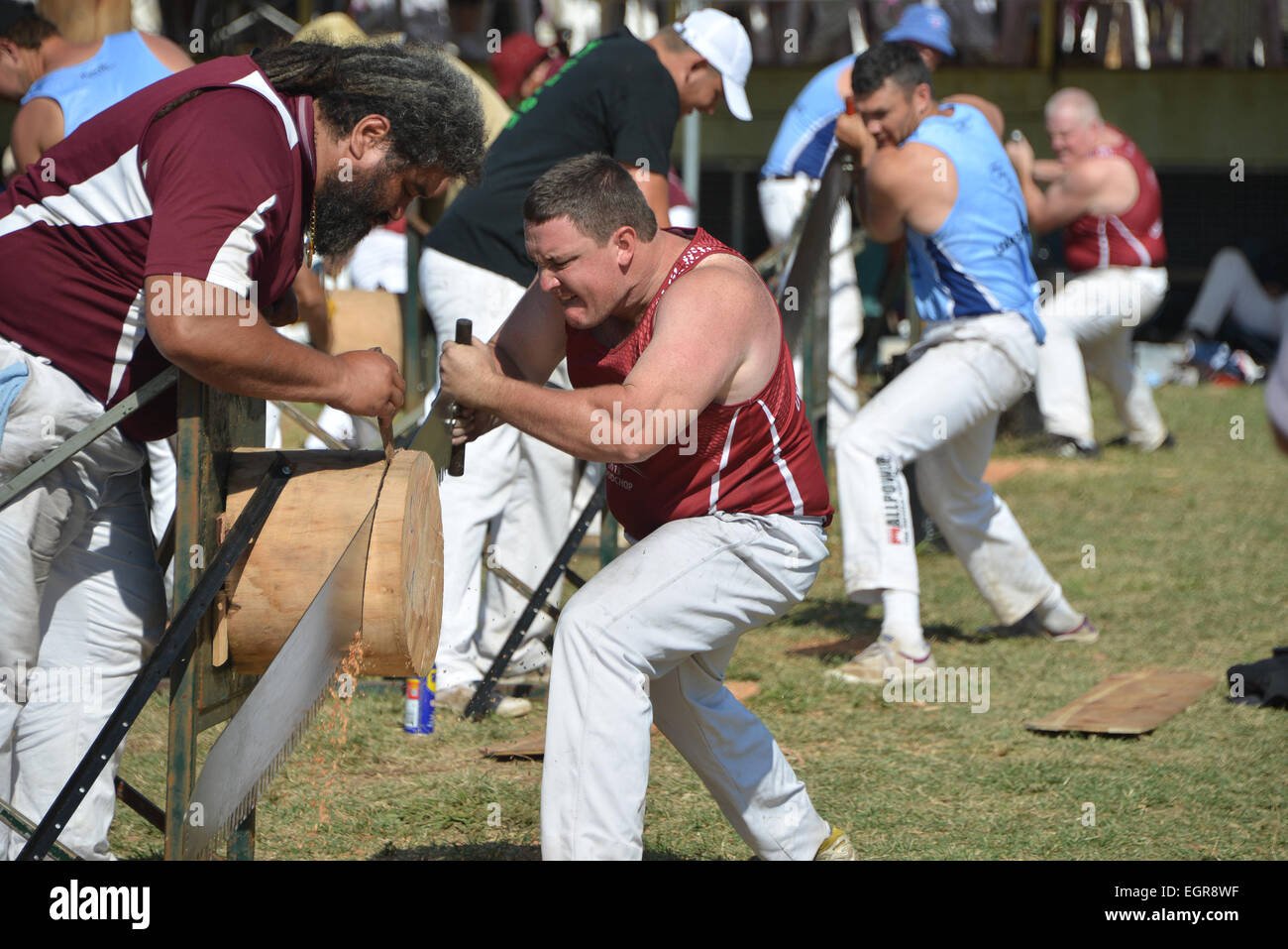 Live sawing hi-res stock photography and images - Alamy