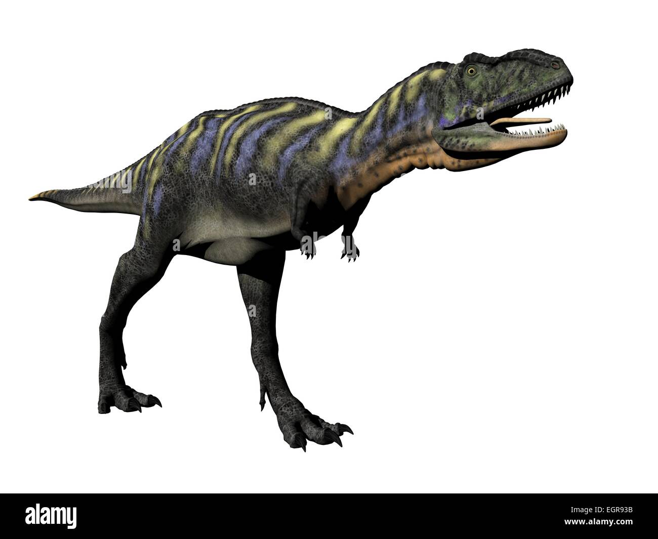 Aucasaurus hi-res stock photography and images - Alamy