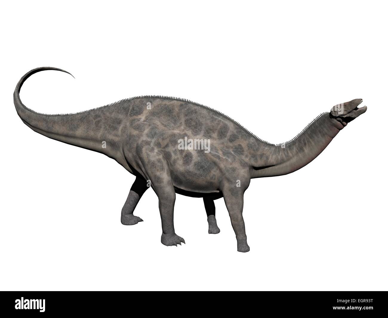 dicraeosaurus dinosaur in white background - 3d render Stock Photo - Alamy