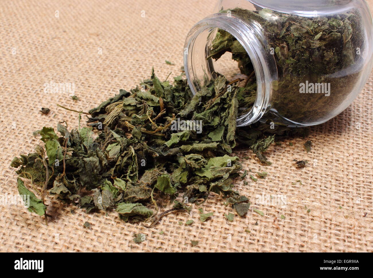 Nettle fabric hi-res stock photography and images - Alamy