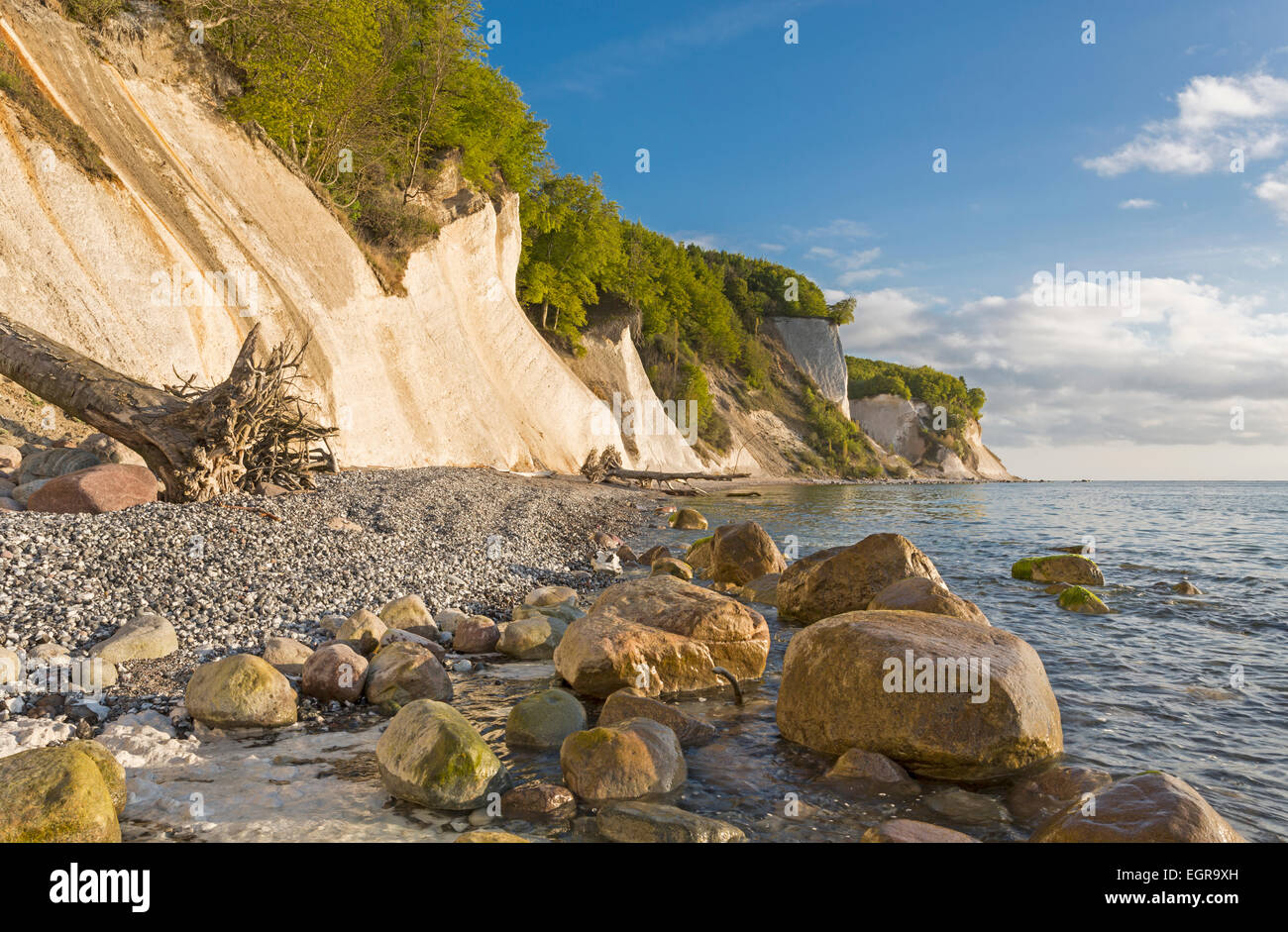 Steep coast with chalk cliffs in the Jasmund National Park, UNESCO ...