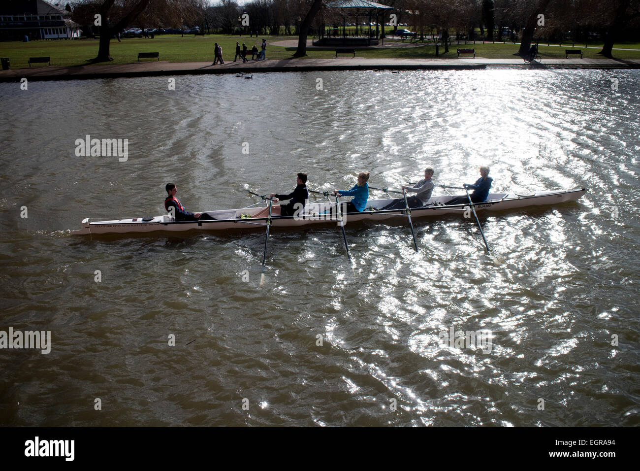 Coxed four rowing boat hi-res stock photography and images - Alamy