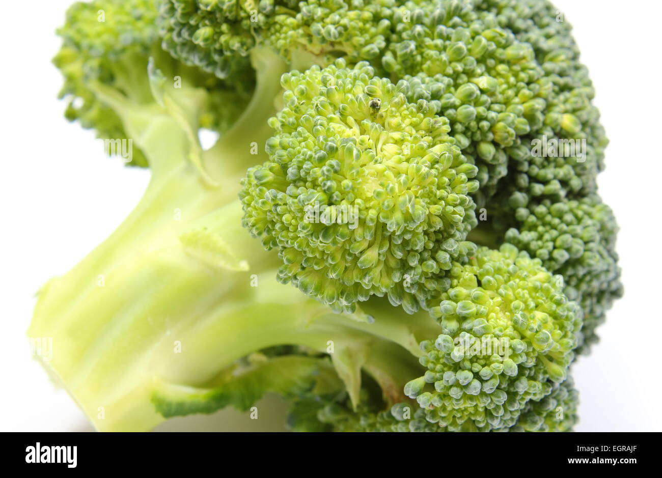 Portion of fresh raw green broccoli isolated on white background ...