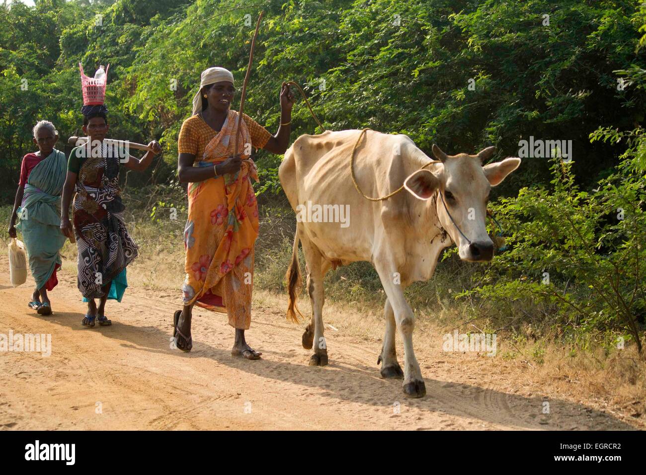 Village farming hi-res stock photography and images - Alamy