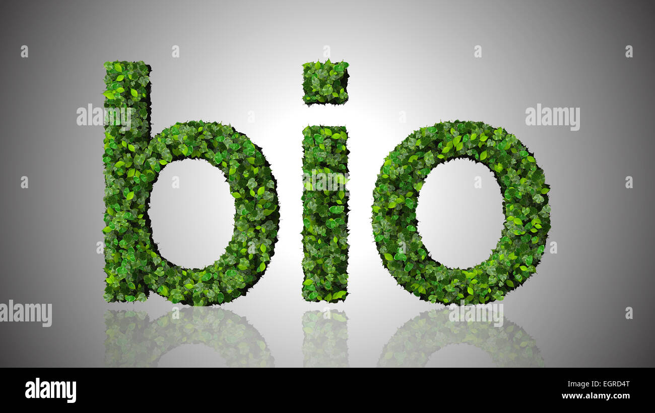 Word environment made from green leaves isolated on white background ...