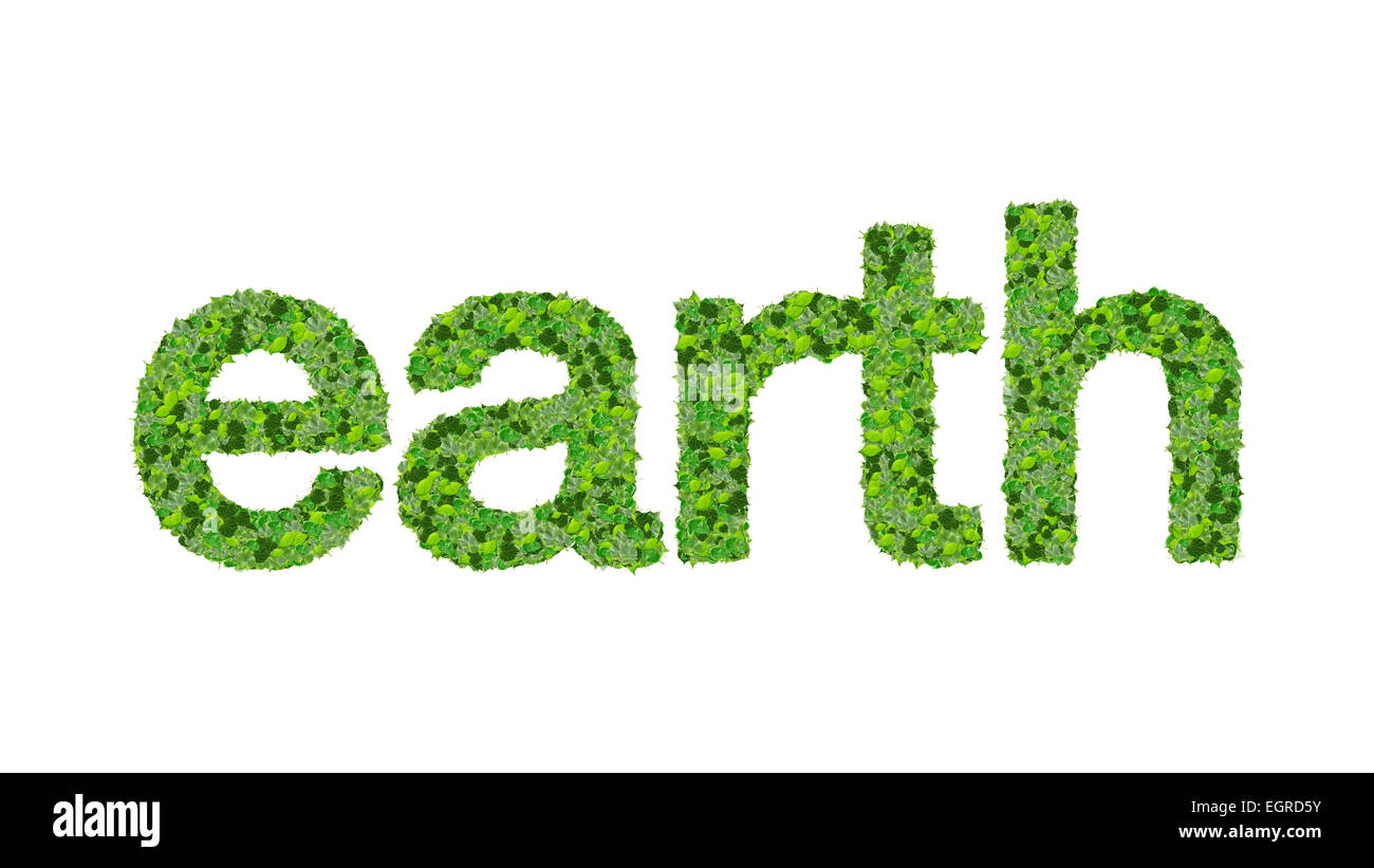 Word environment made from green leaves isolated on white background ...