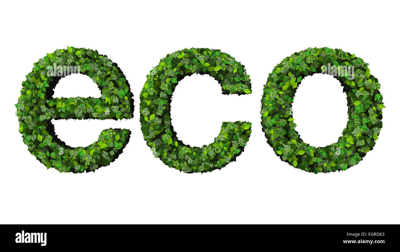 Word environment made from green leaves isolated on white background ...