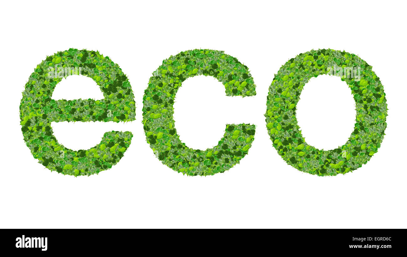 Word environment made from green leaves isolated on white background ...