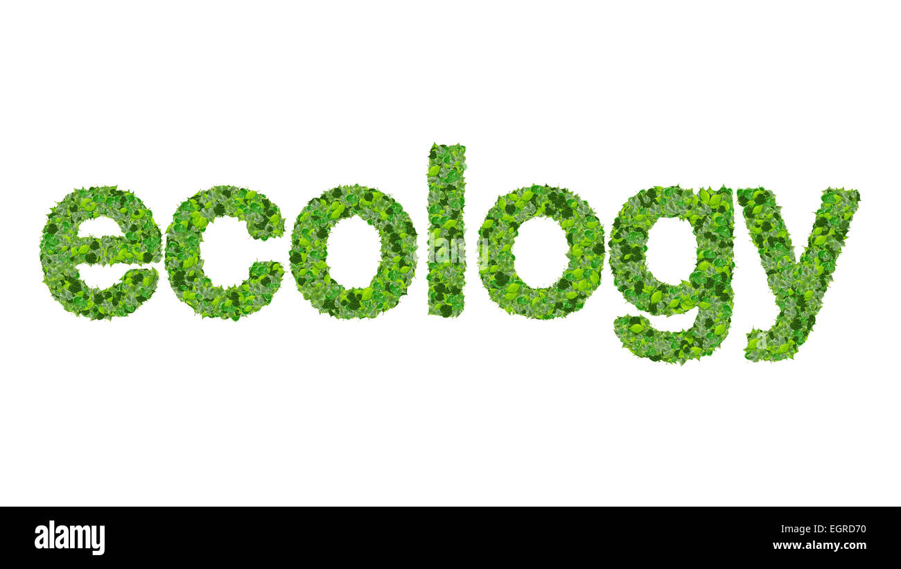 Word environment made from green leaves isolated on white background ...