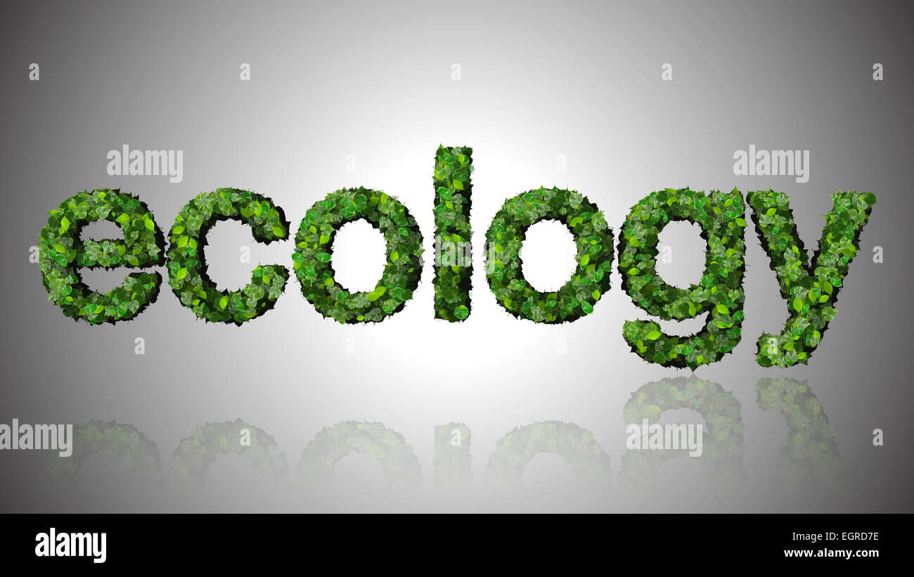 Word environment made from green leaves isolated on white background ...