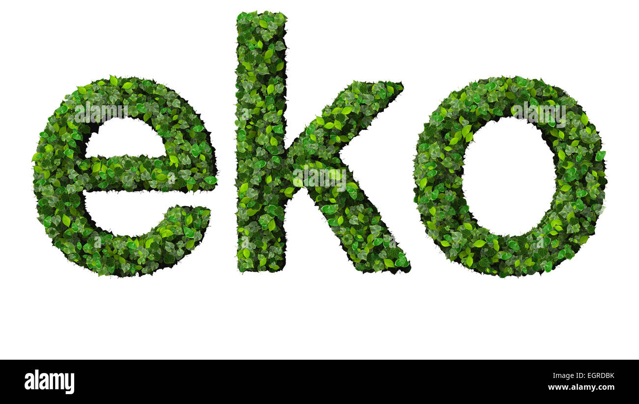 Word environment made from green leaves isolated on white background ...