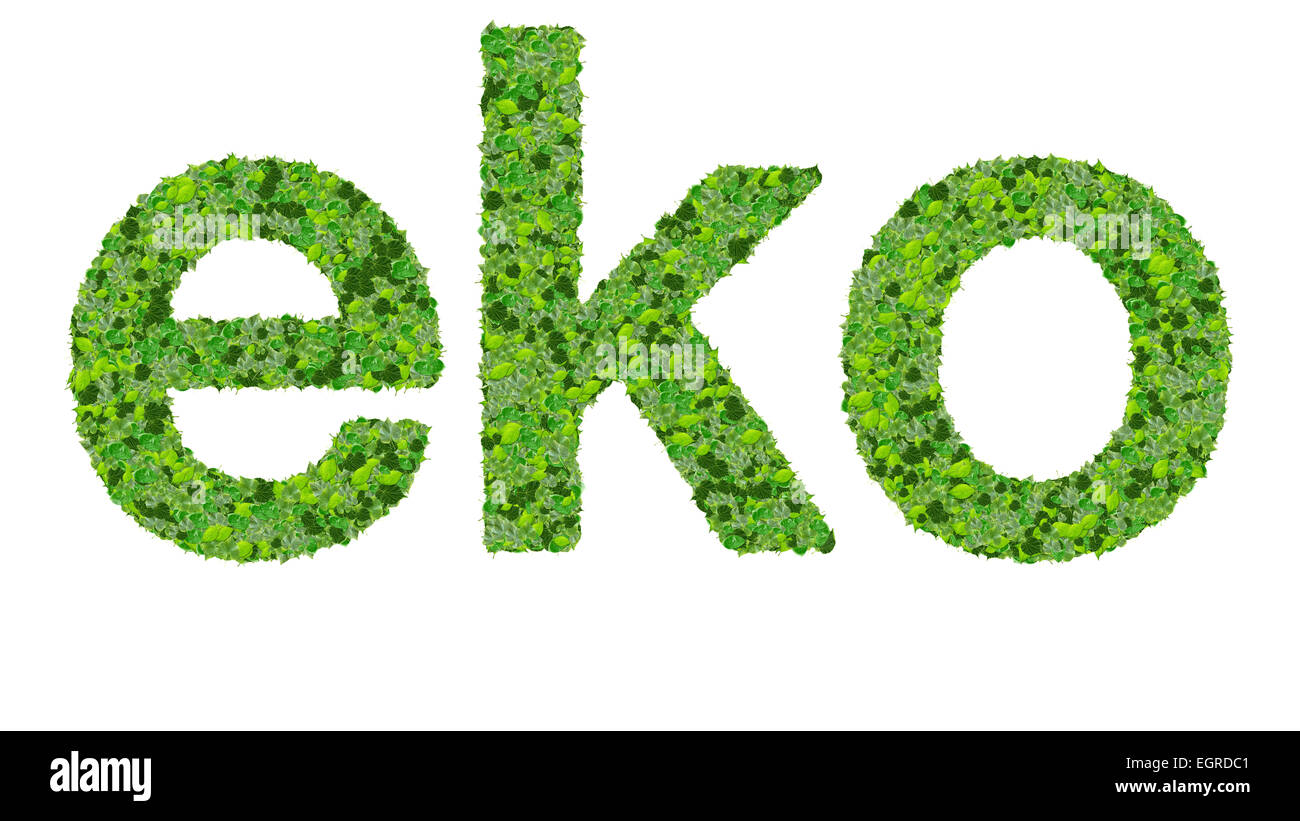 Word environment made from green leaves isolated on white background ...