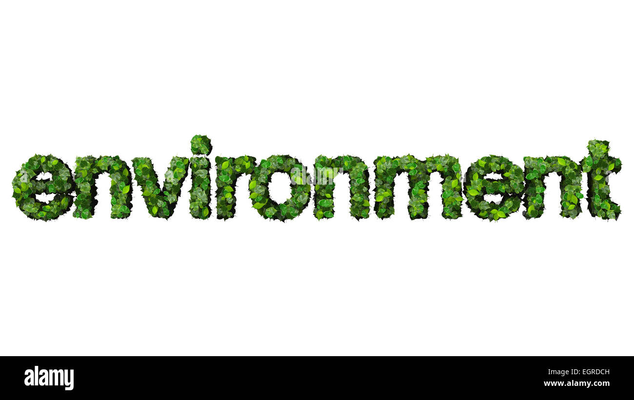 Word environment made from green leaves isolated on white background ...