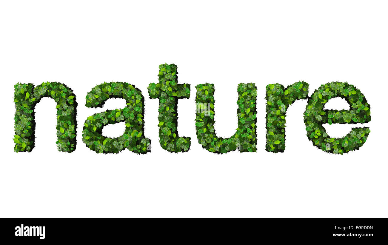Word nature made from green leaves isolated on white background Stock ...