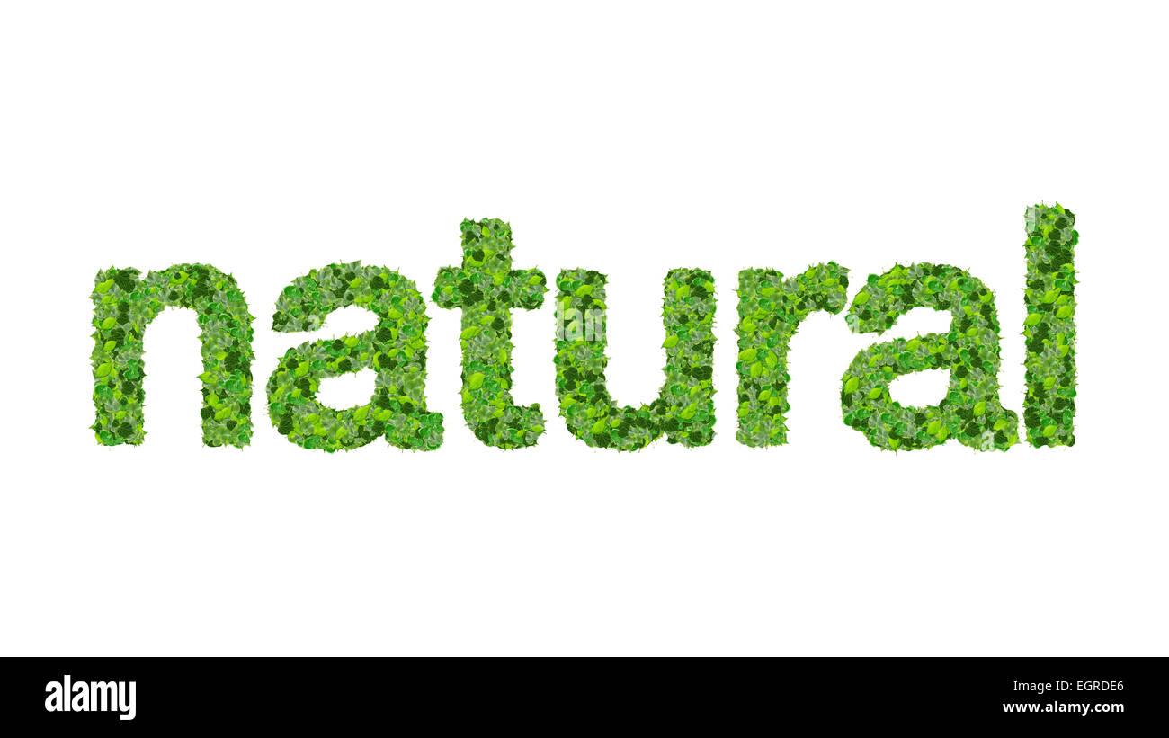 Word natural made from green leaves isolated on white background Stock ...