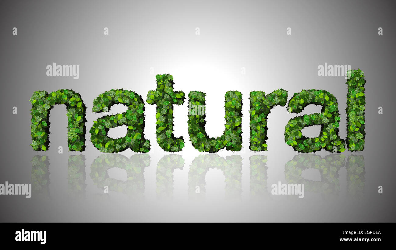 Word natural made from green leaves isolated on white background Stock ...