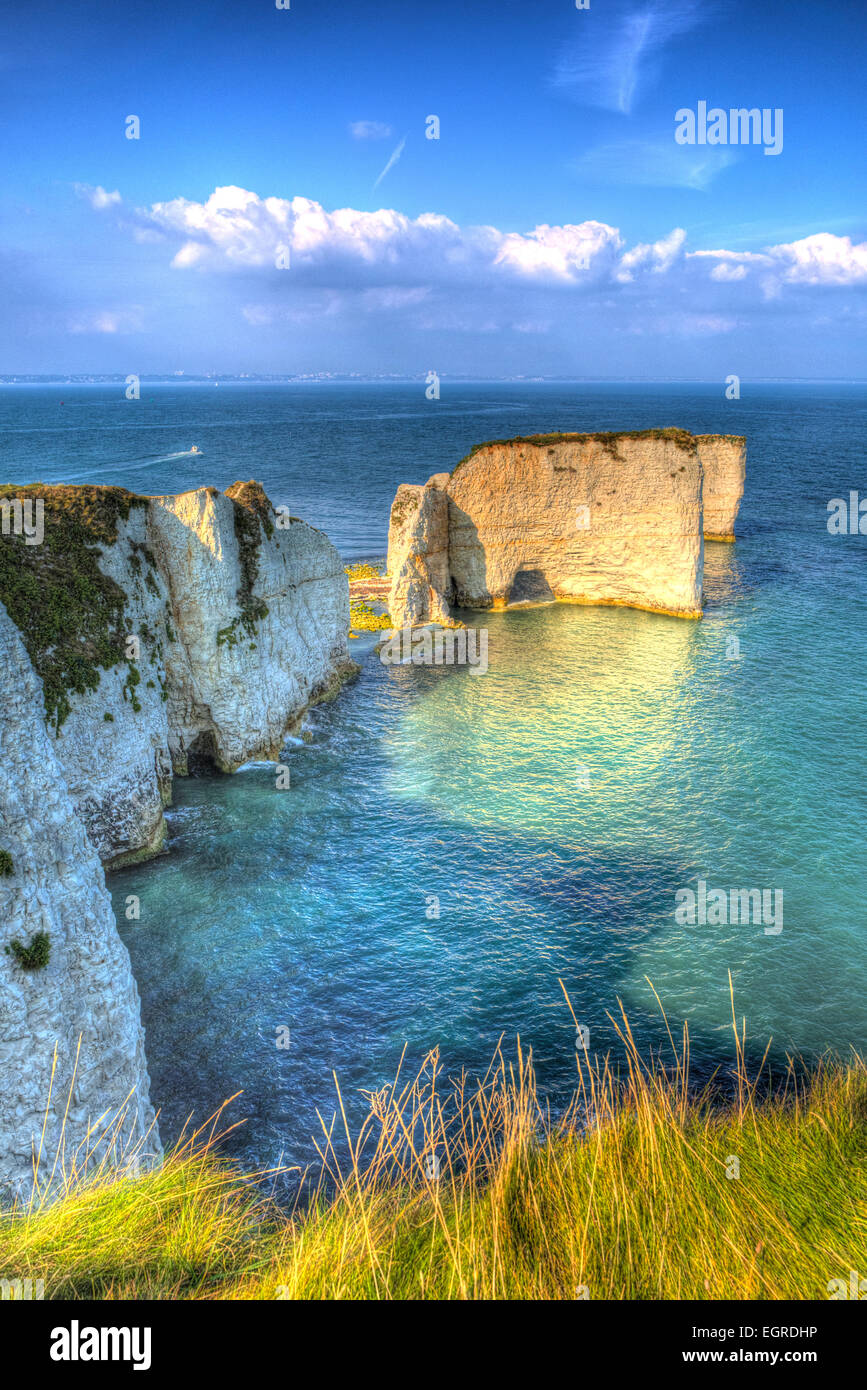 Jurassic Coast chalk stacks Old Harry Rocks Dorset England UK east of ...