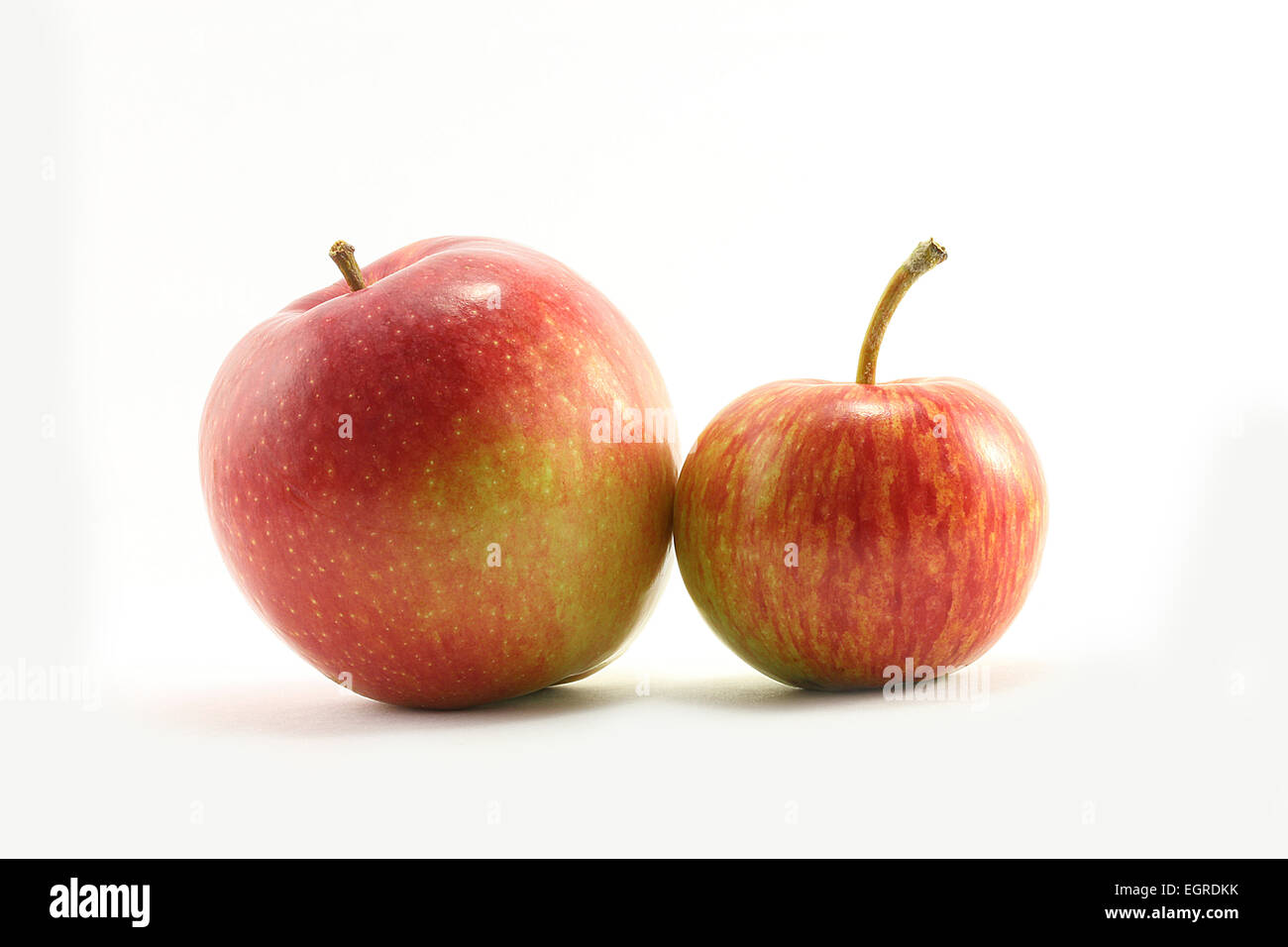 Two red apples on a white background Stock Photo - Alamy