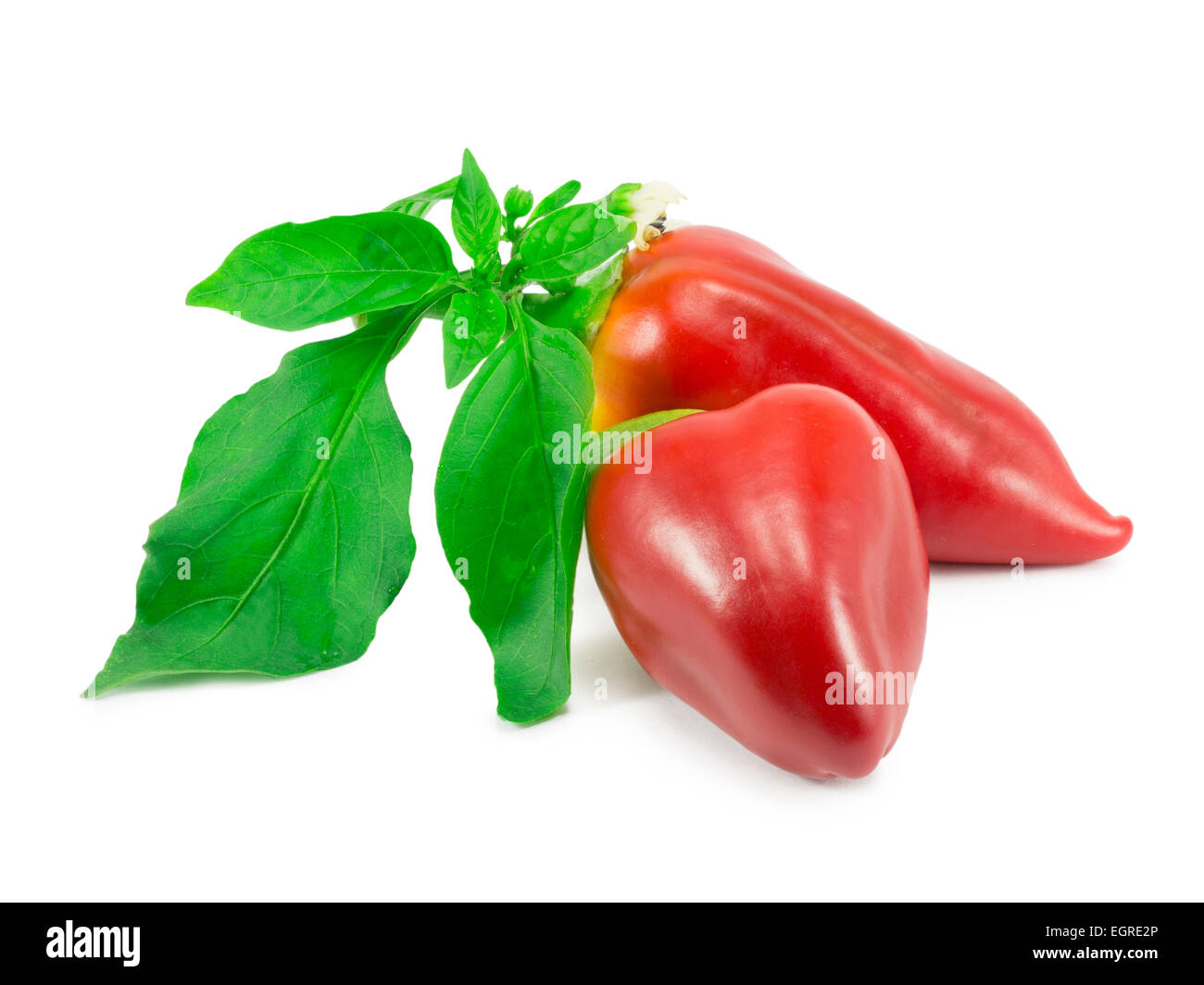sweet red pepper on a white background Stock Photo - Alamy