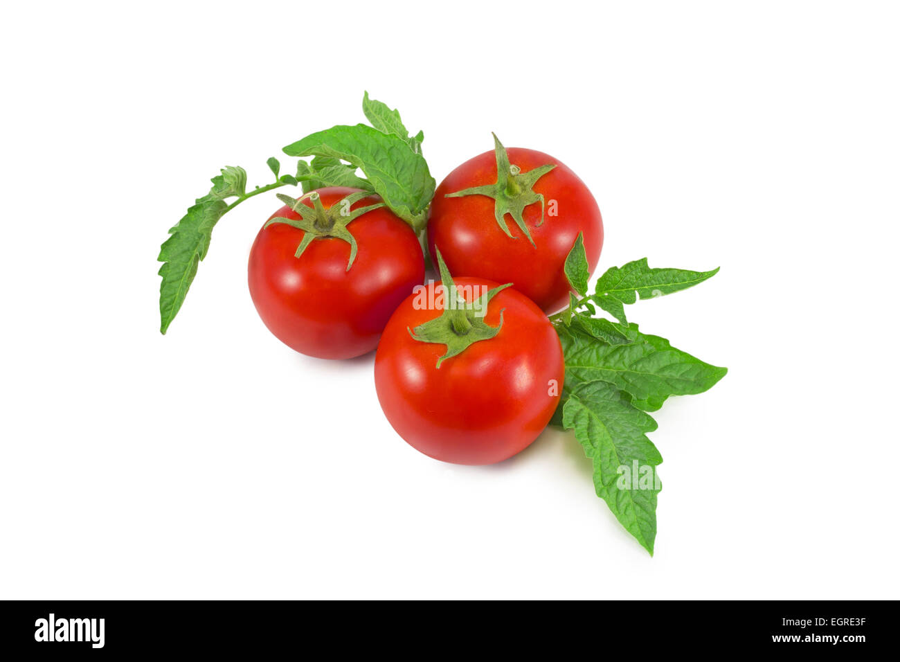 Three red tomatoes with a leaf on a white background Stock Photo - Alamy