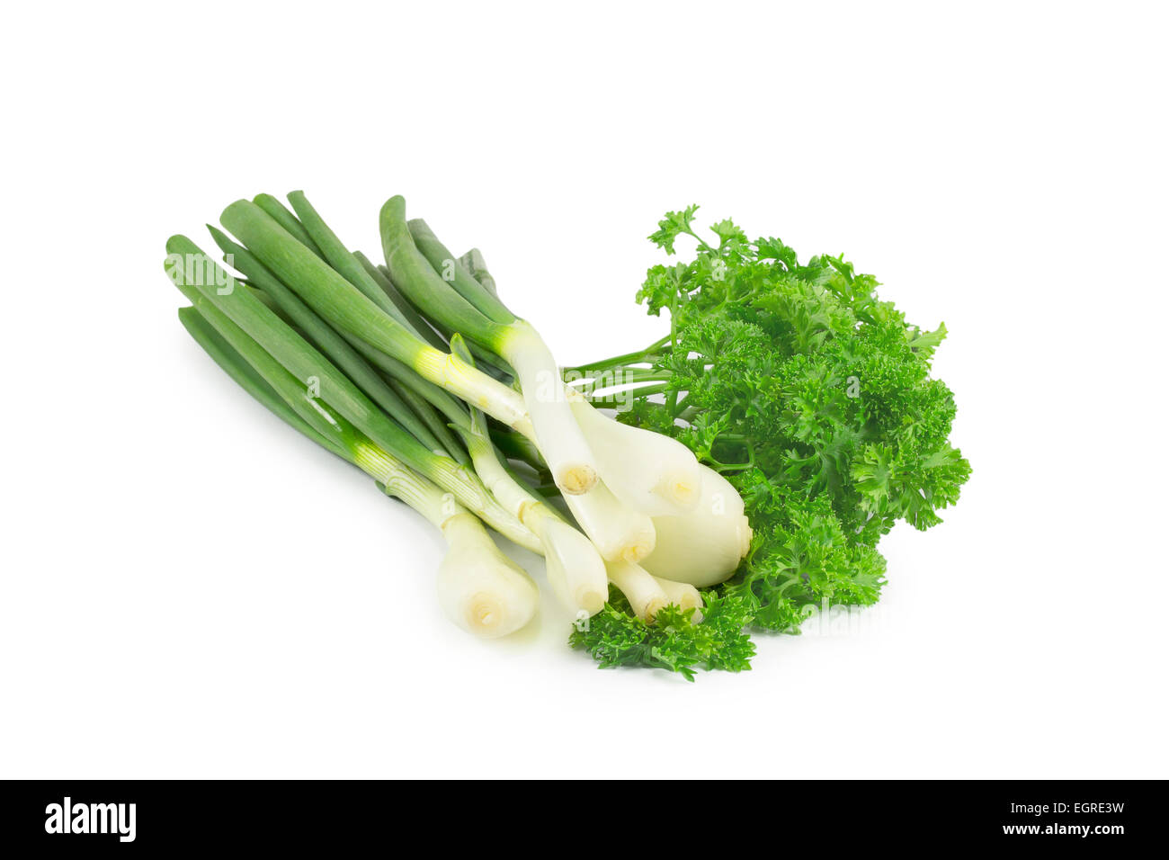 Cibol hi-res stock photography and images - Alamy