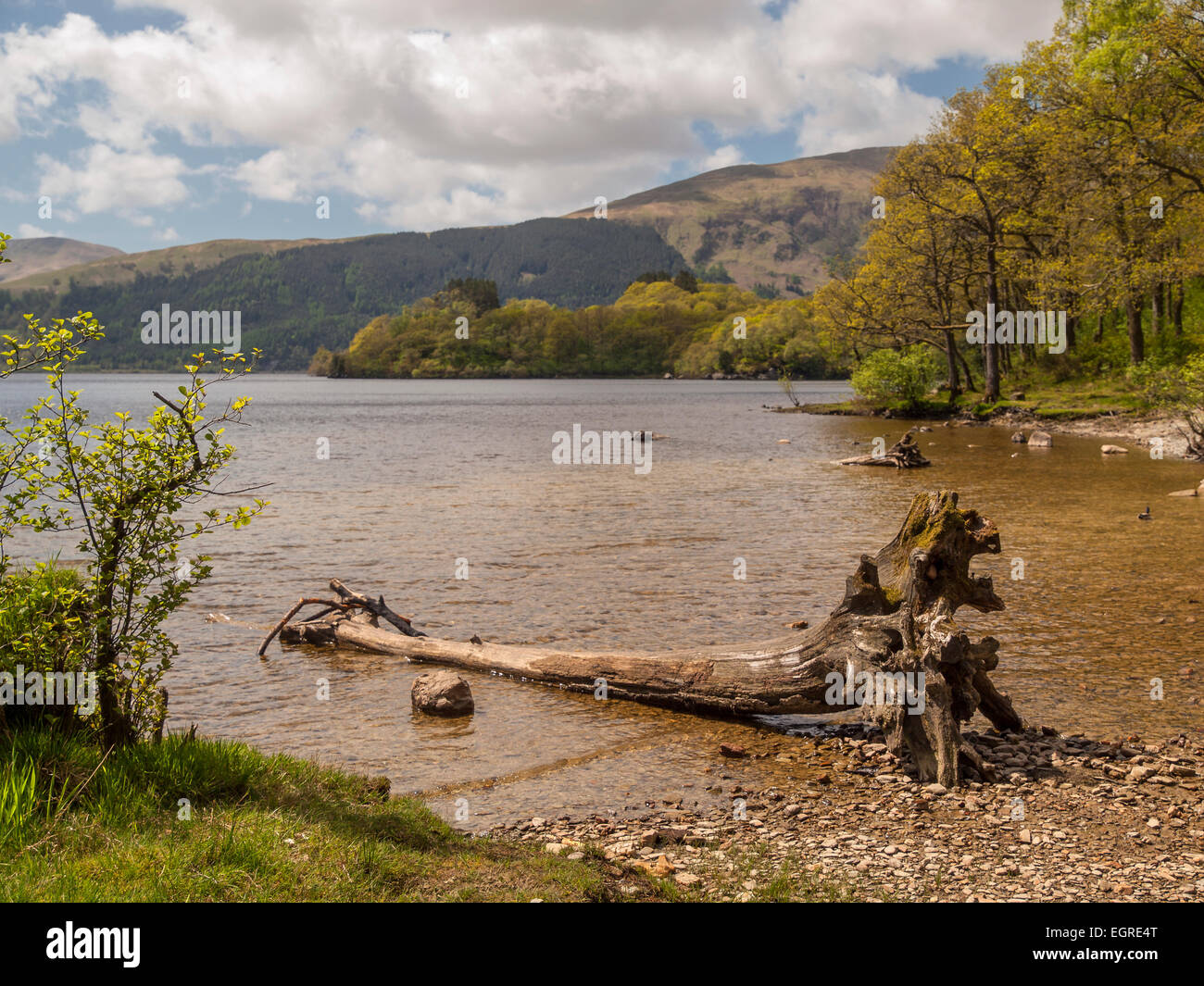 Loch edge hi-res stock photography and images - Alamy