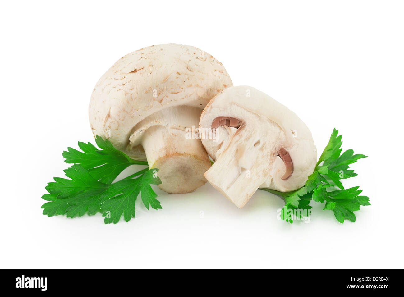 Champignon mushroom isolated on white background Stock Photo - Alamy