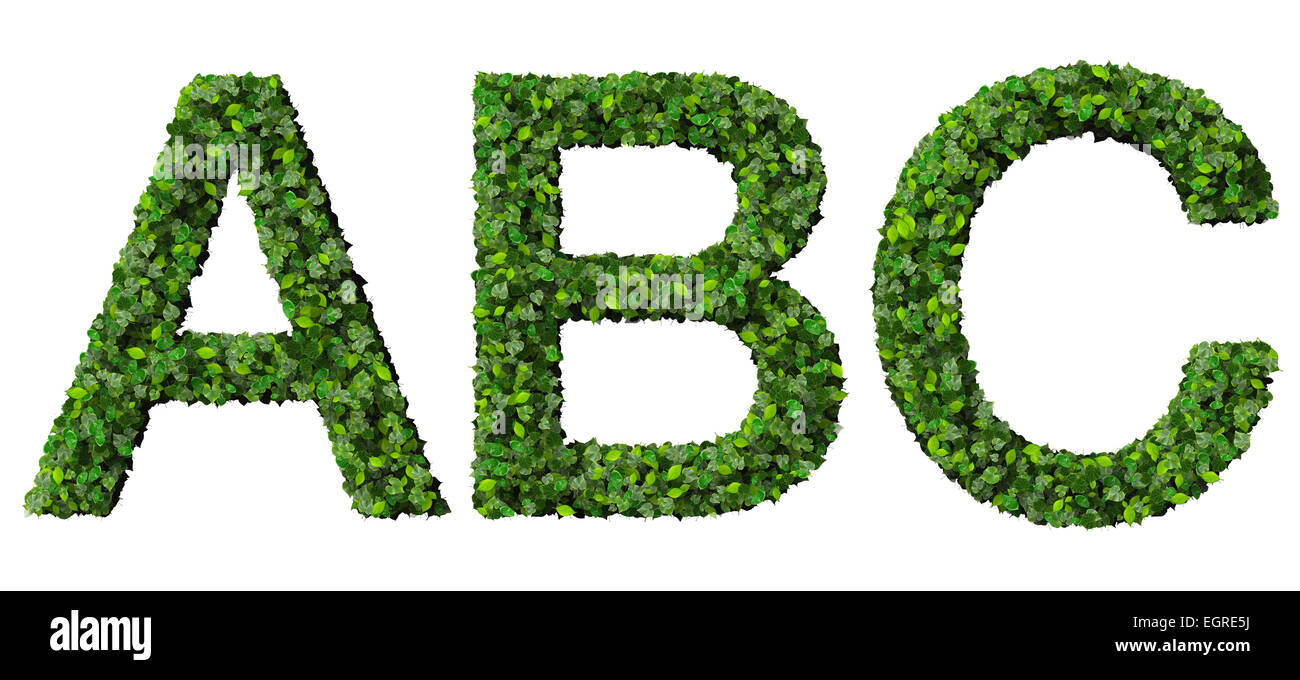 A B C alphabet letters made from green leaves isolated on white ...