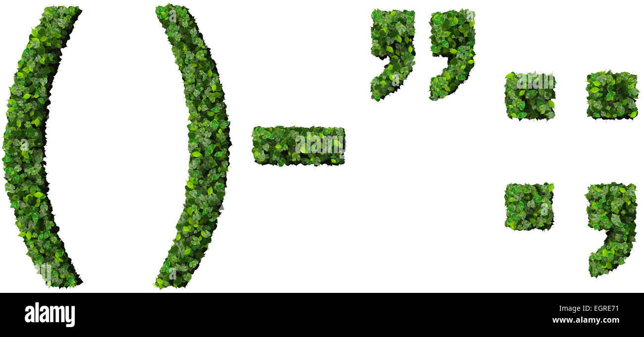 parentheses, quotation marks, minus, semicolon, colon made from green ...