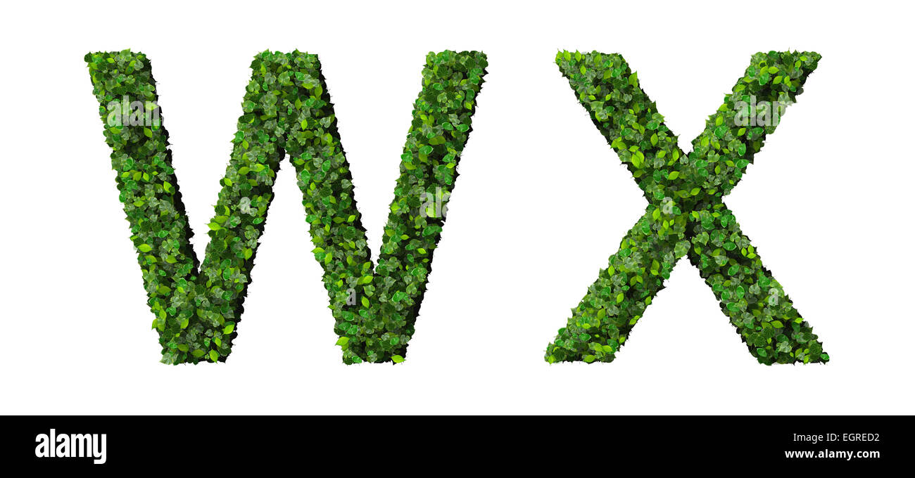 W X alphabet letters made from green leaves isolated on white ...