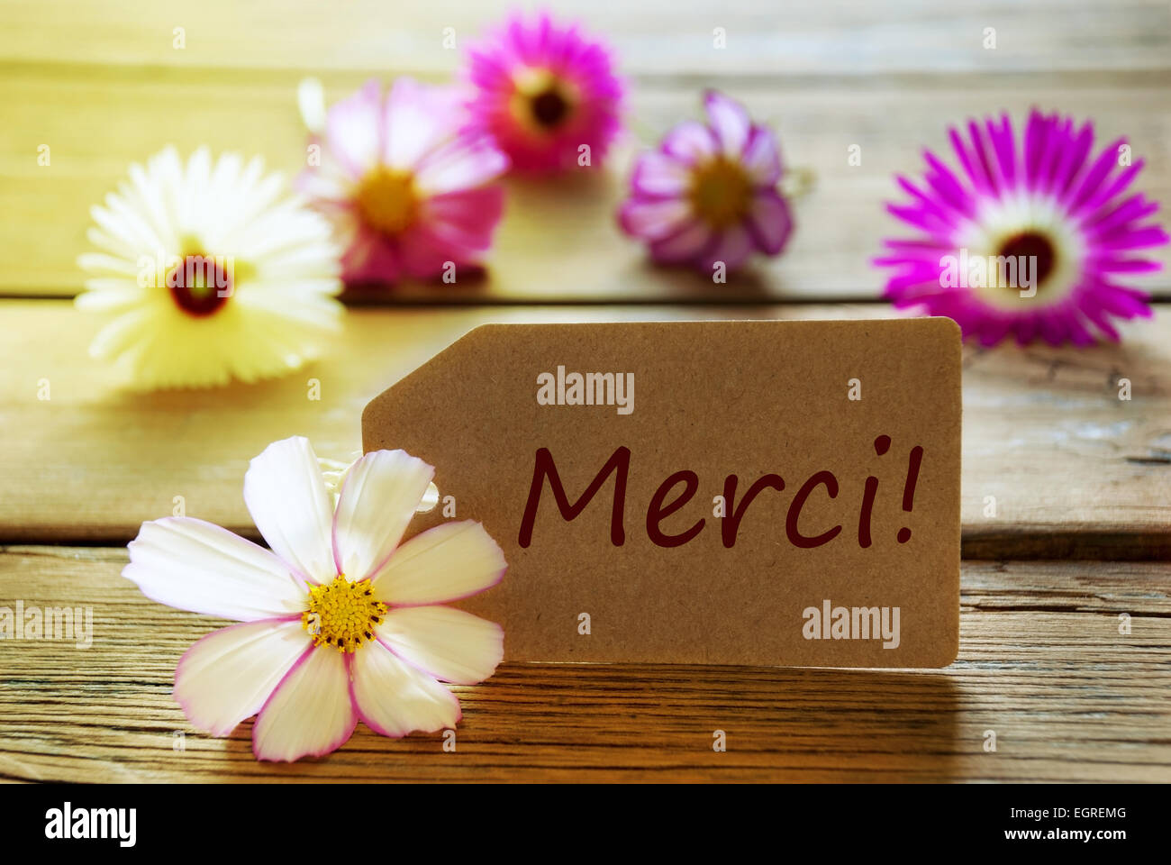 Brown Label With Sunny Yellow Effect With French Text Merci With Purple ...