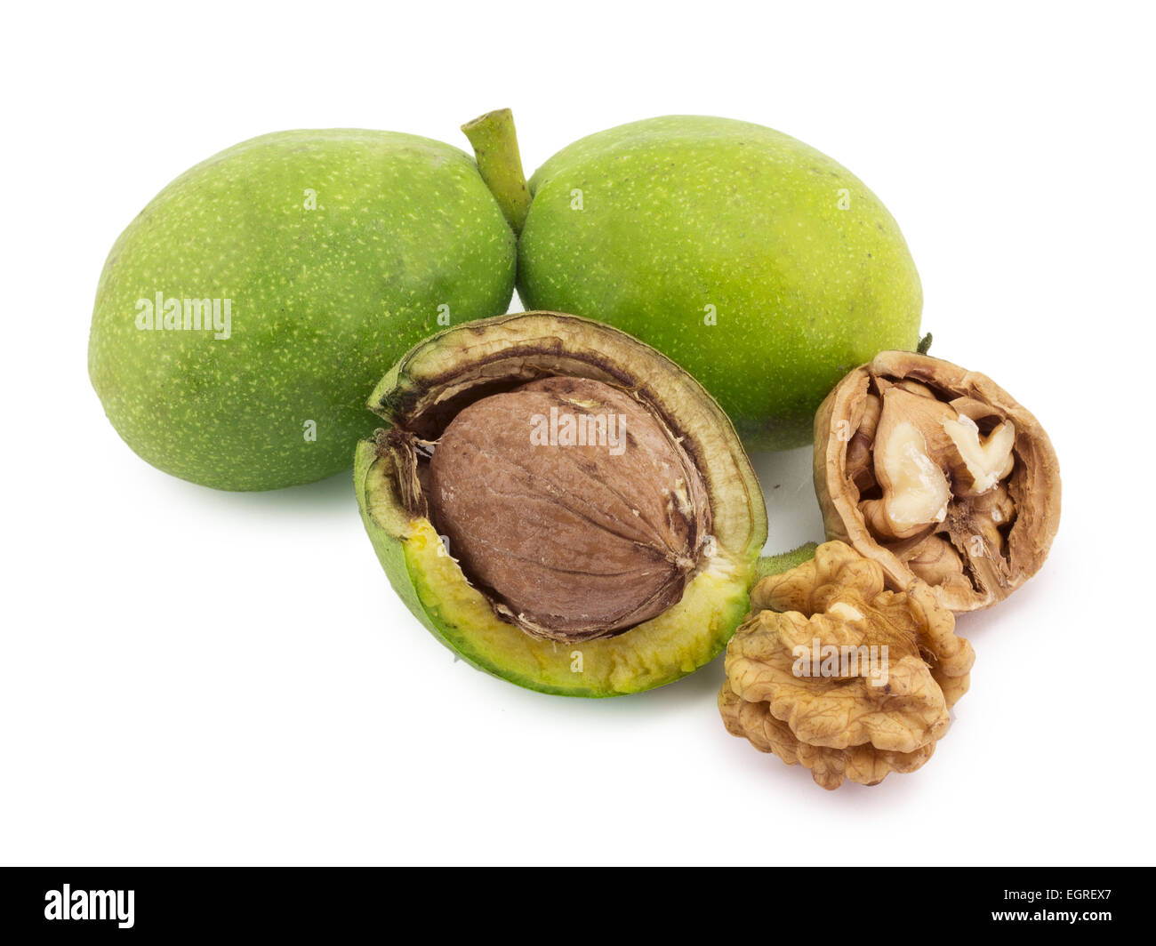 Seed dried pod husk hi-res stock photography and images - Alamy