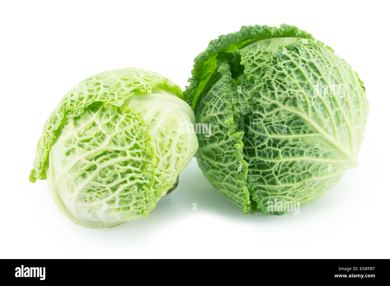 cabbage still life on a white background Stock Photo - Alamy