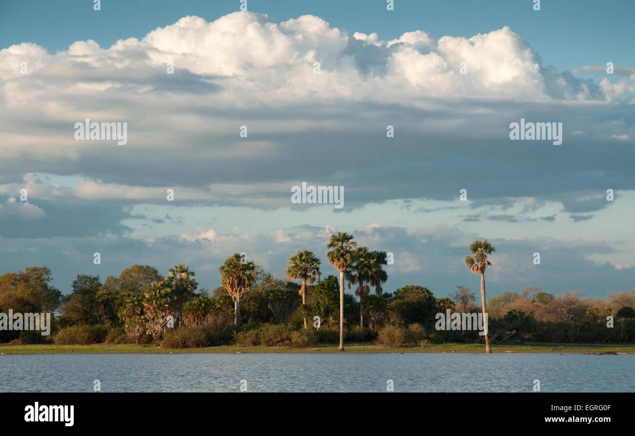 Scenic of shoreline taken from Lake Manze Stock Photo - Alamy