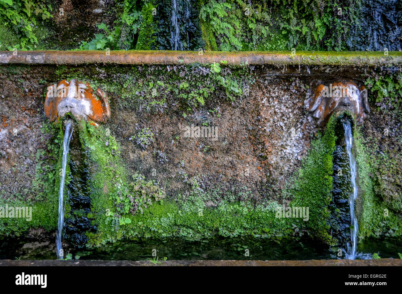 Italian Gargoyle Fountains Stock Photo - Alamy