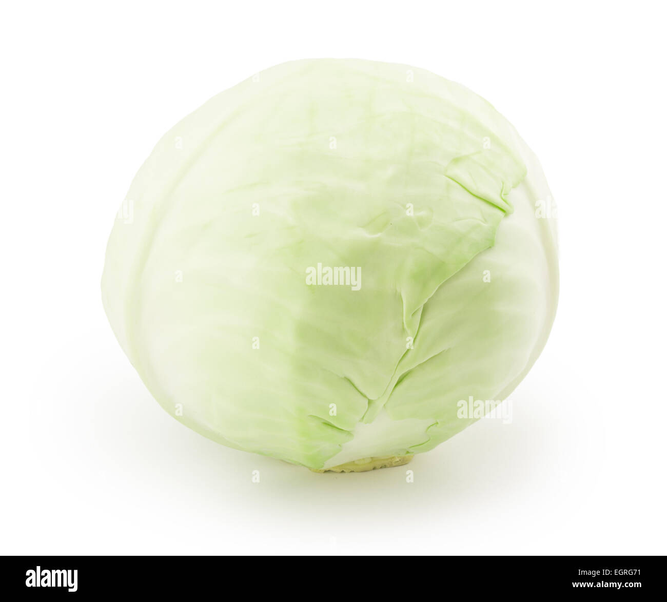 cabbage isolated on white background Stock Photo - Alamy