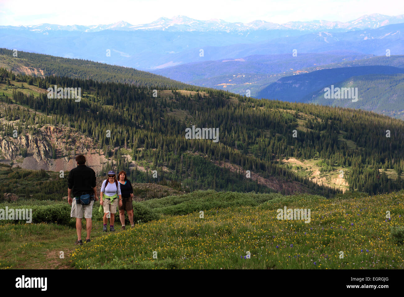 Hikers on mountain alpine meadow Colorado Stock Photo - Alamy