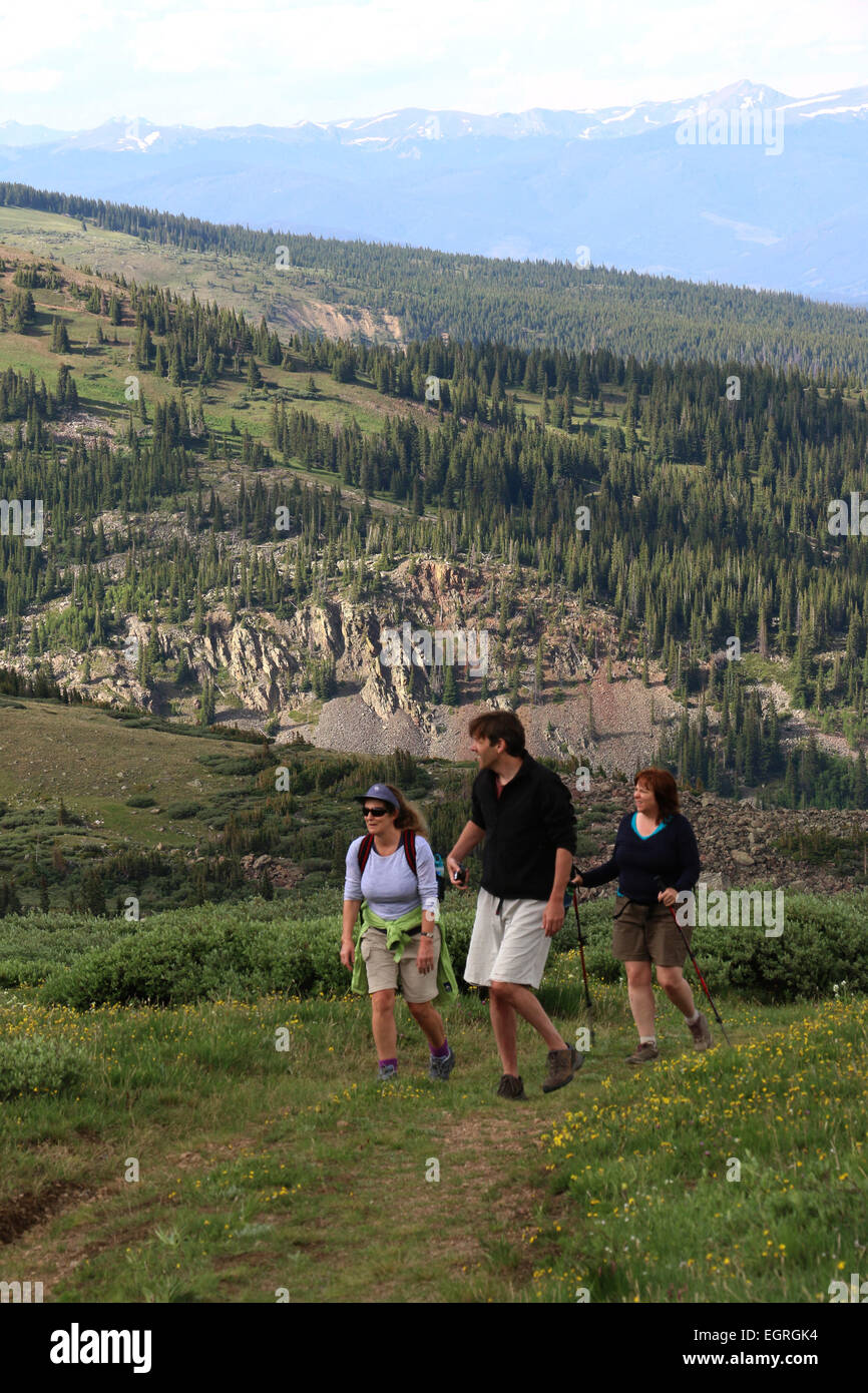Colorado flower field hi-res stock photography and images - Alamy